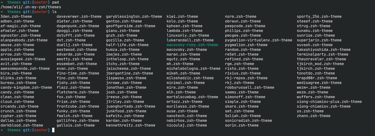 zsh 安装与配置：9步打造高效命令行 - HackerNeo